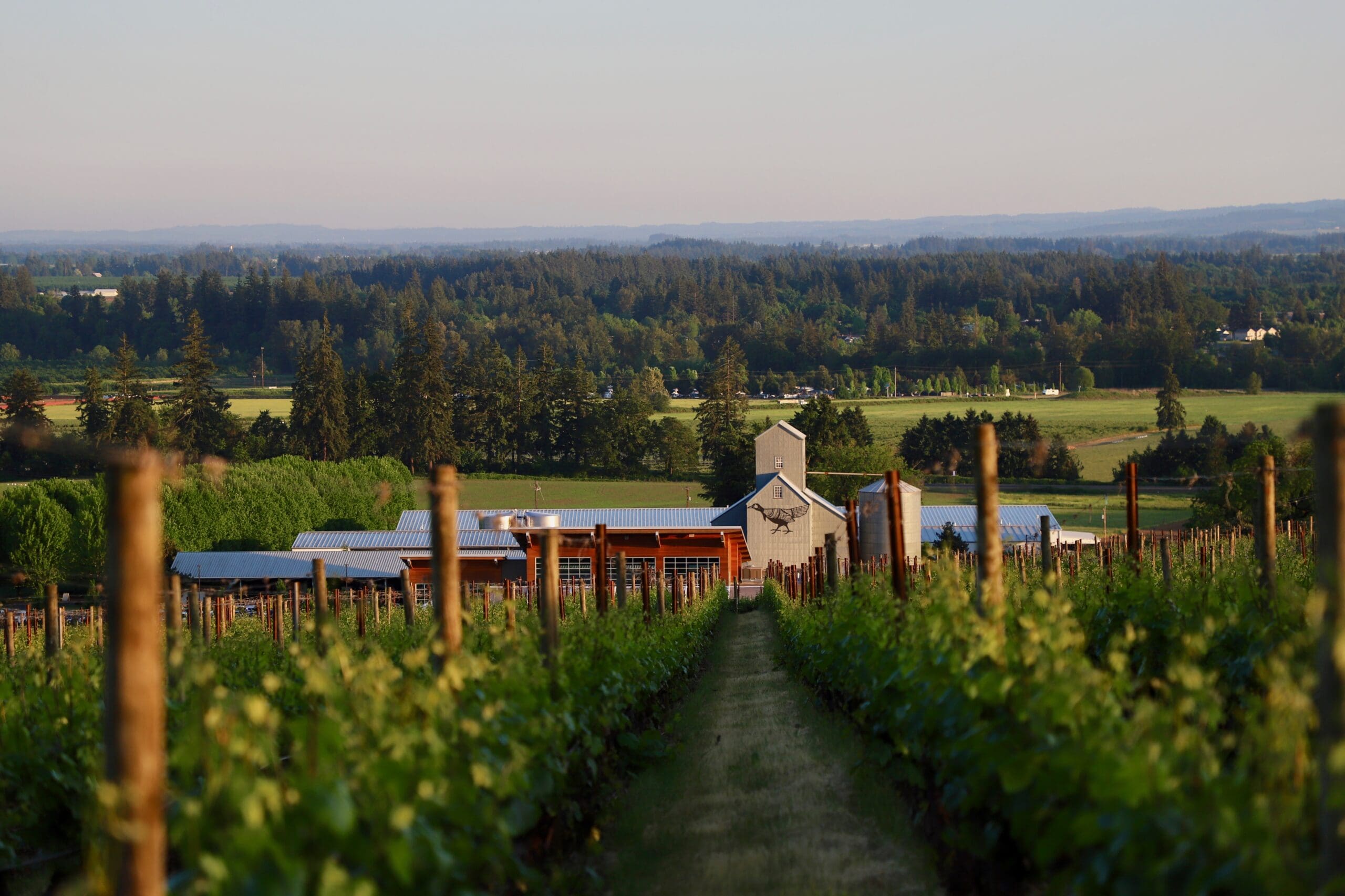 Winery Site Design & Civil Engineering | Stoller Family Estate | Dayton, OR - AKS Engineering ...